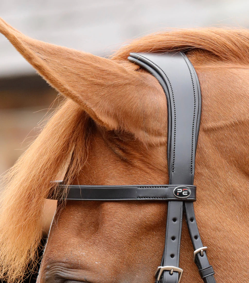 PE Primo Hunter Bridle – Equestrian Country