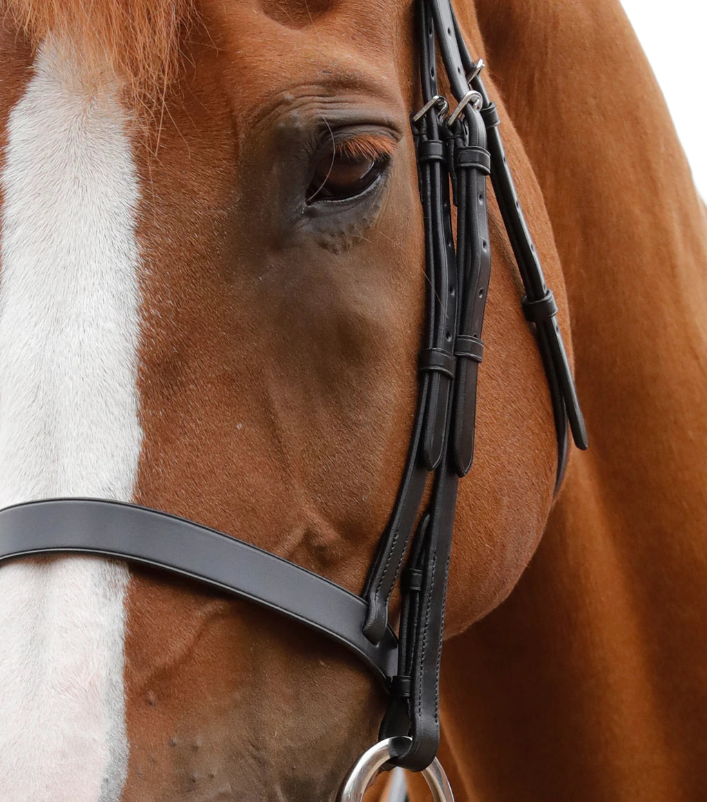 PE Primo Hunter Bridle – Equestrian Country